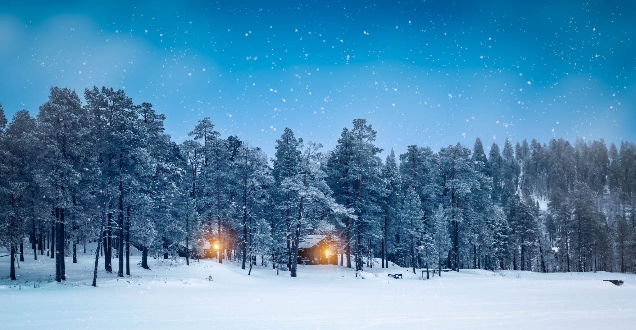 Vår julhälsning och julhelgens öppethållningstider - Avalon Nordic Sverige